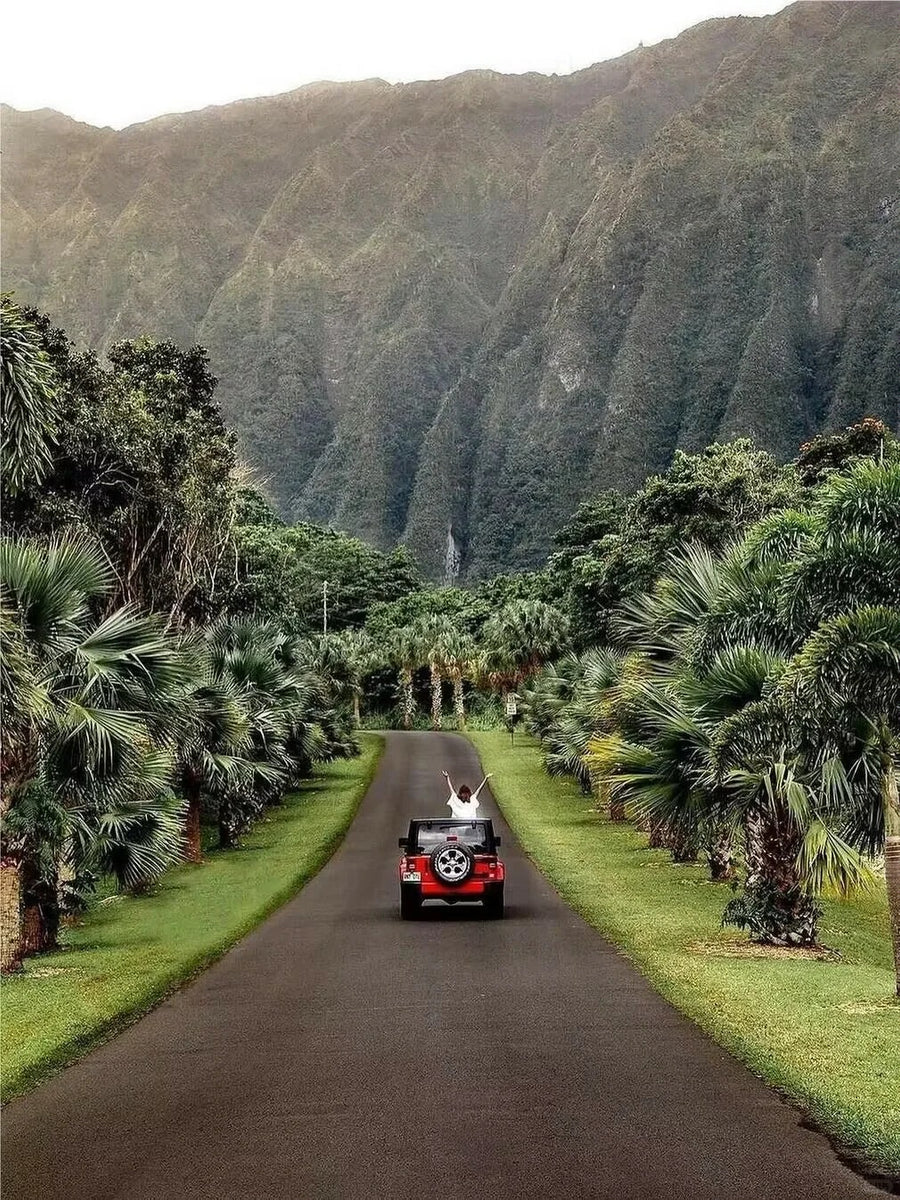 Experience Paradise in Hawaii: Must-See Destinations – OCEAN MYSTERY